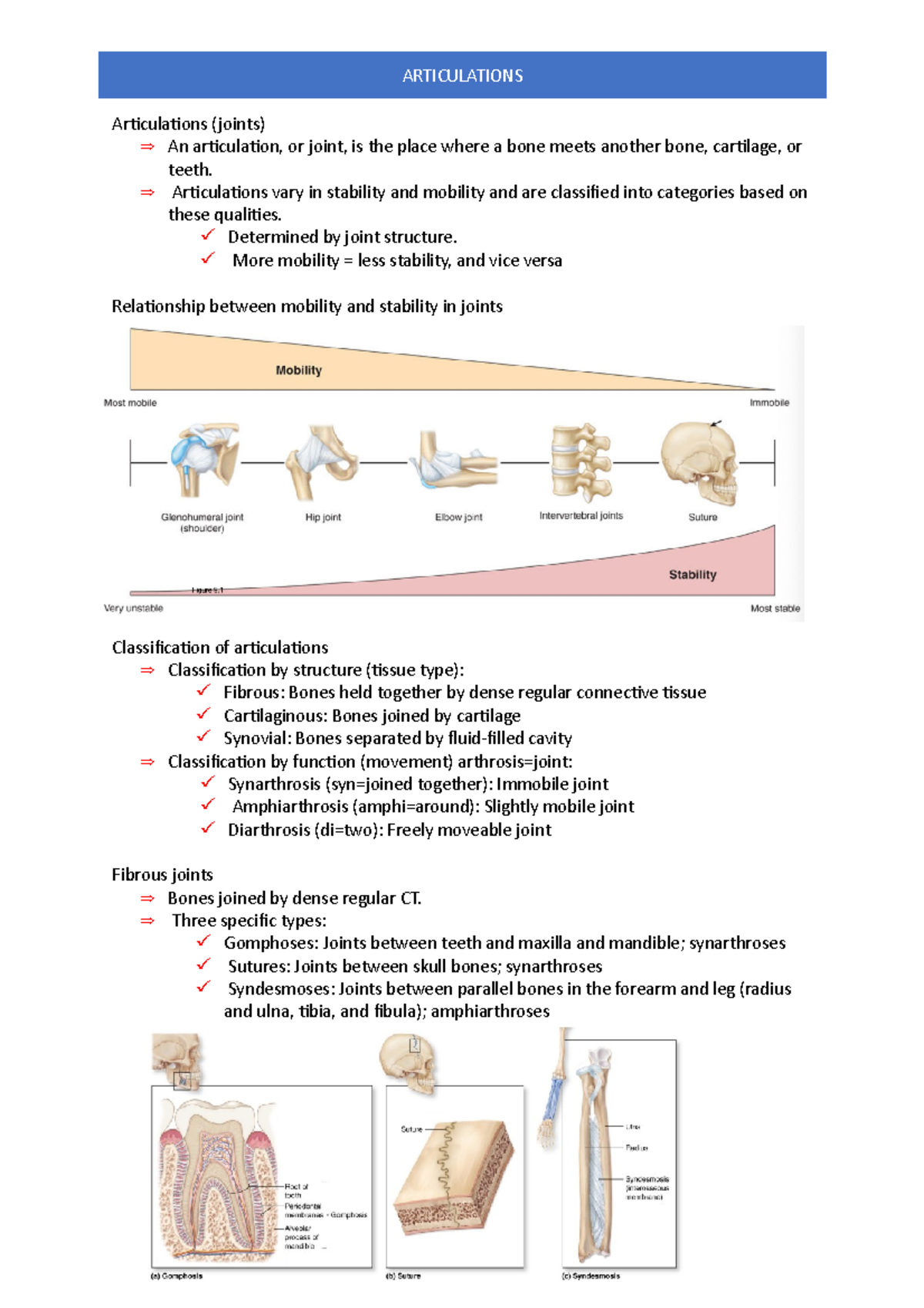 Articulations - articulation lecture notes - Articulations (joints) An ...