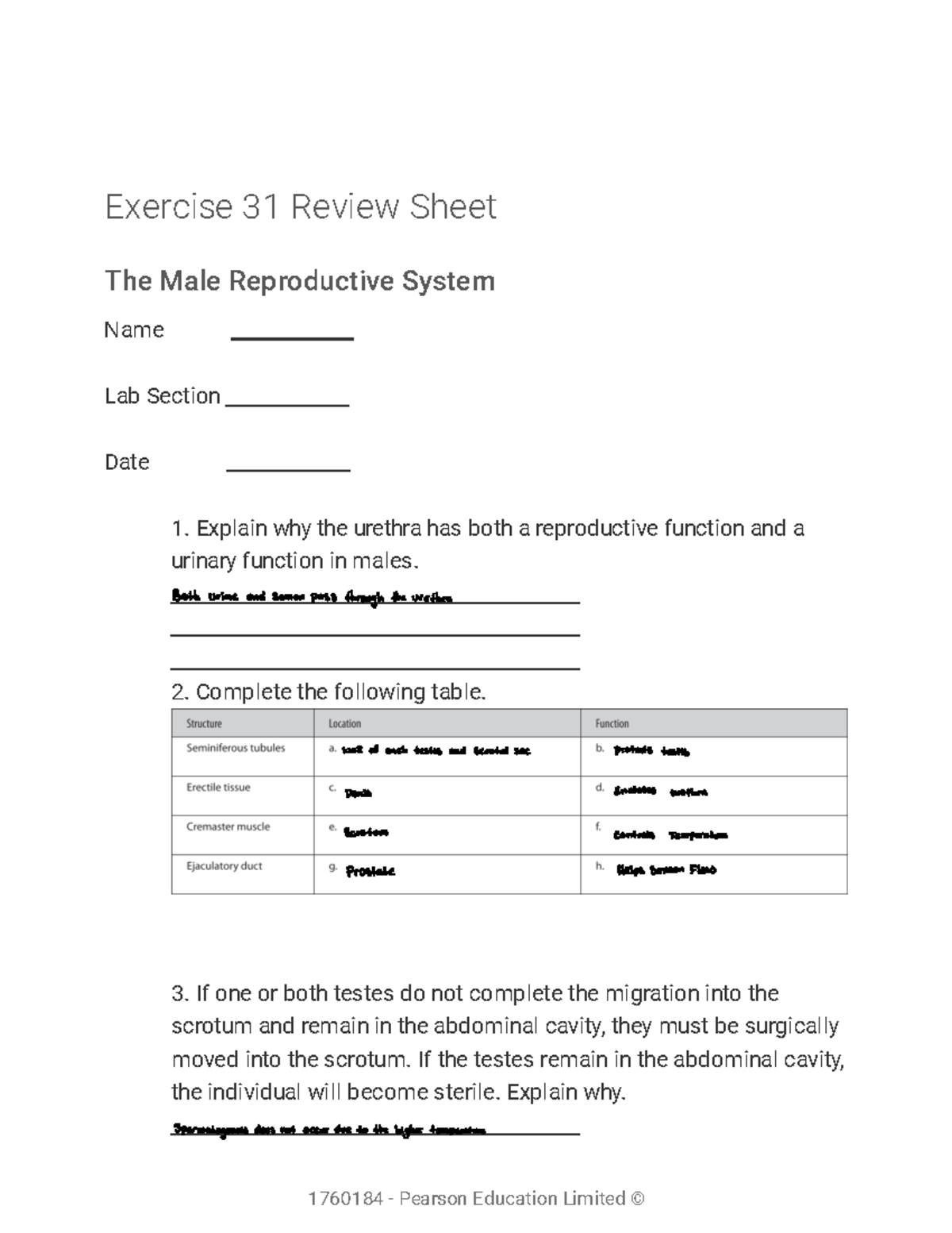 Chapter 31 - Lab assignment completed - Exercise 31 Review Sheet The ...
