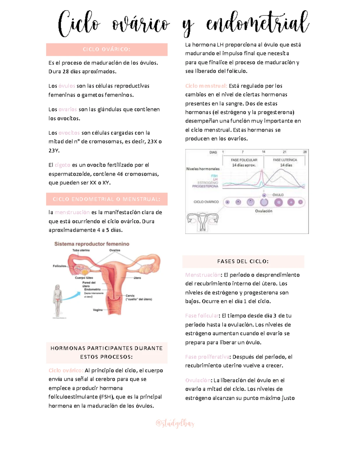Ciclo visual rodopsina-retinal y e Xcitaci Ón de bastones ...