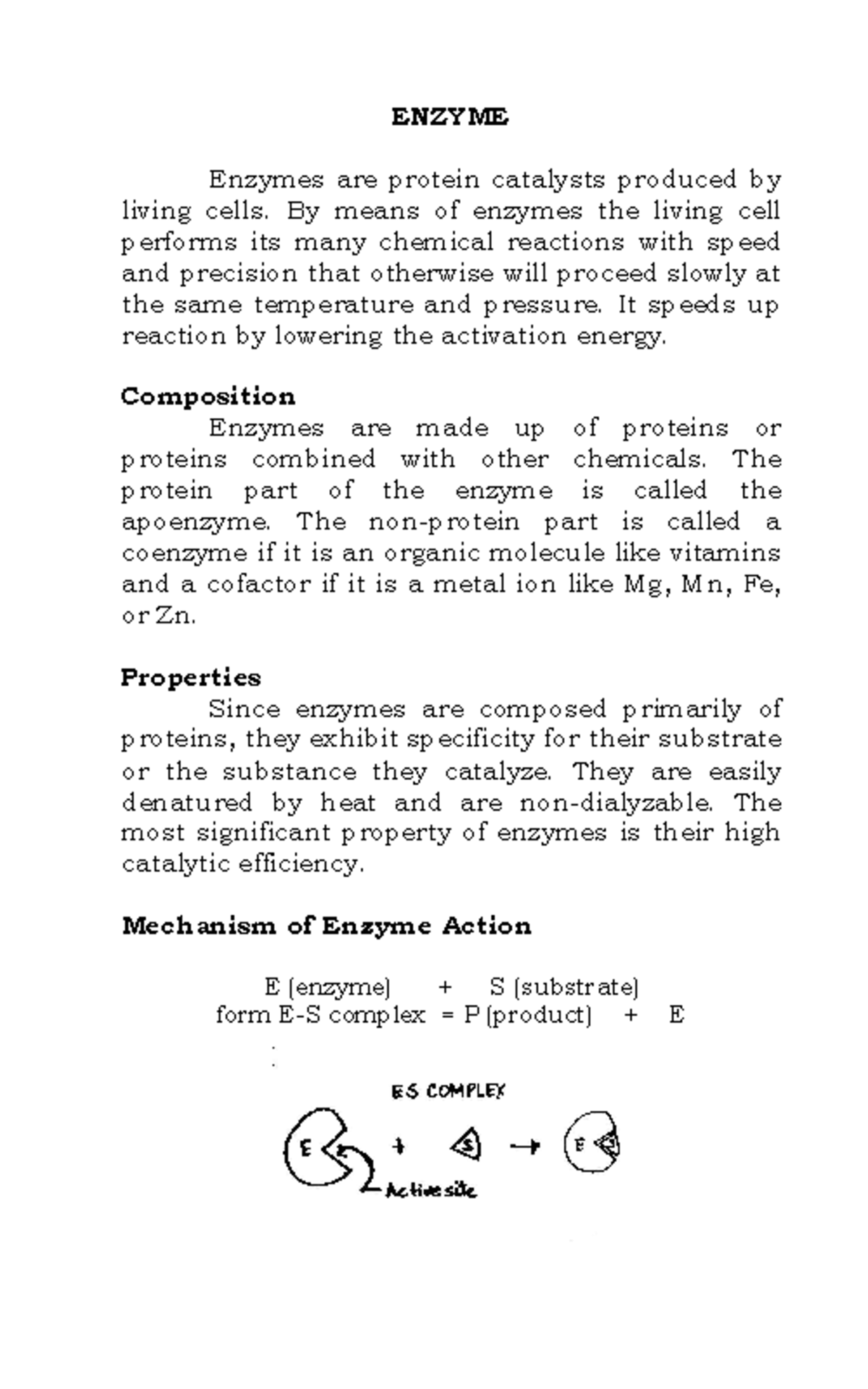 Midterm-lecture-notes - ENZYME Enzymes are protein catalysts produced ...