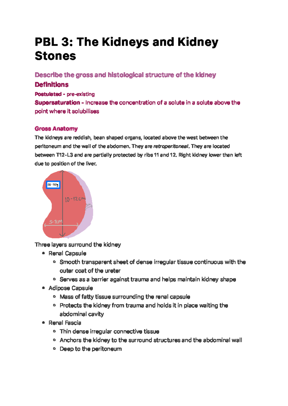 PBL 3 The Kidneys and Kidney Stones - P B L 3 : T h e K i d n eys a n d ...