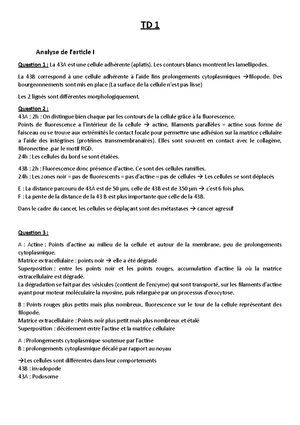 TD 6 avec corrigé - 440 - TD N° 6 PLASMIDES ET ENZYMES DE RESTRICTION EXERCICE 1 : On se propose ...