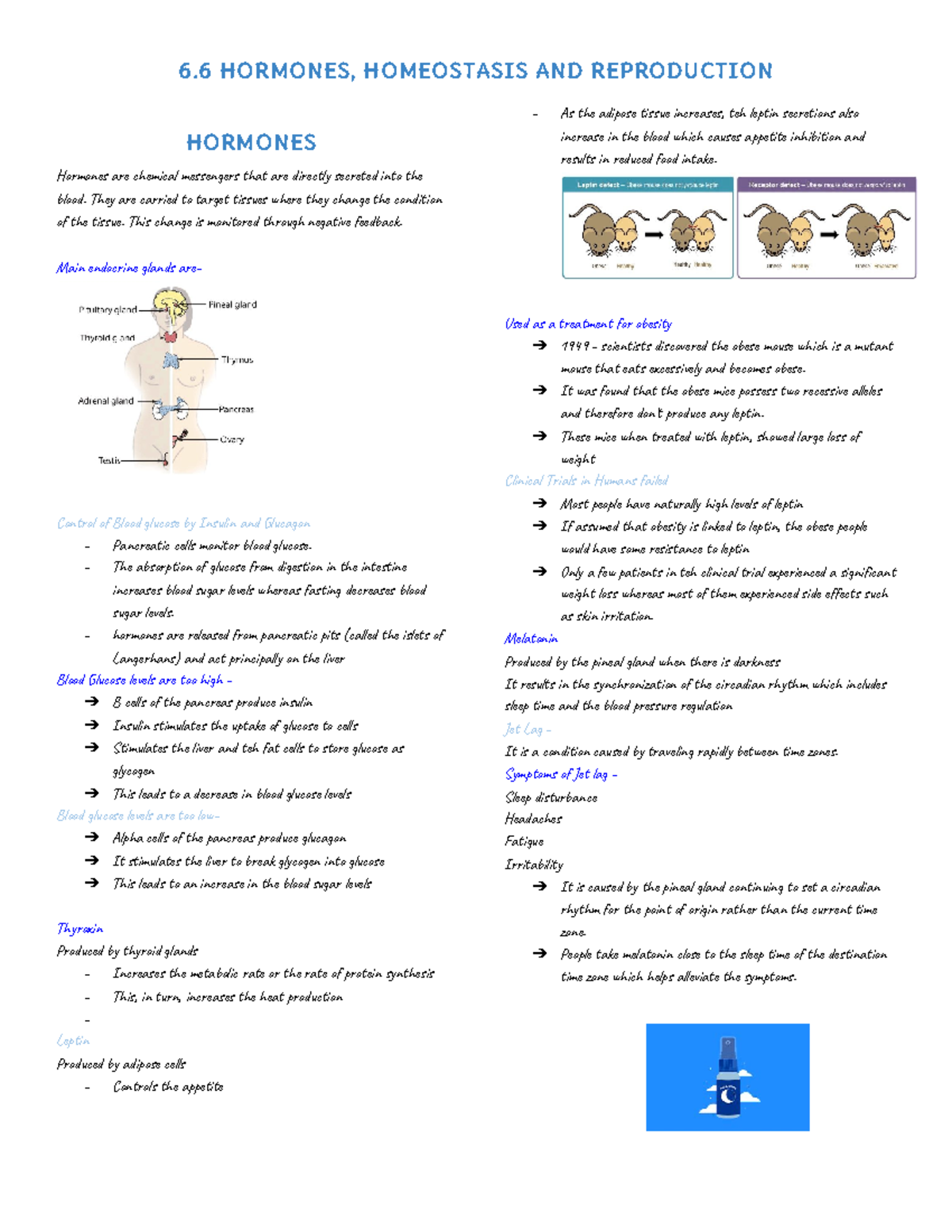 Homeostasis notes - 6 HORMONES, HOMEOSTASIS AND REPRODUCTION HORMONES ...