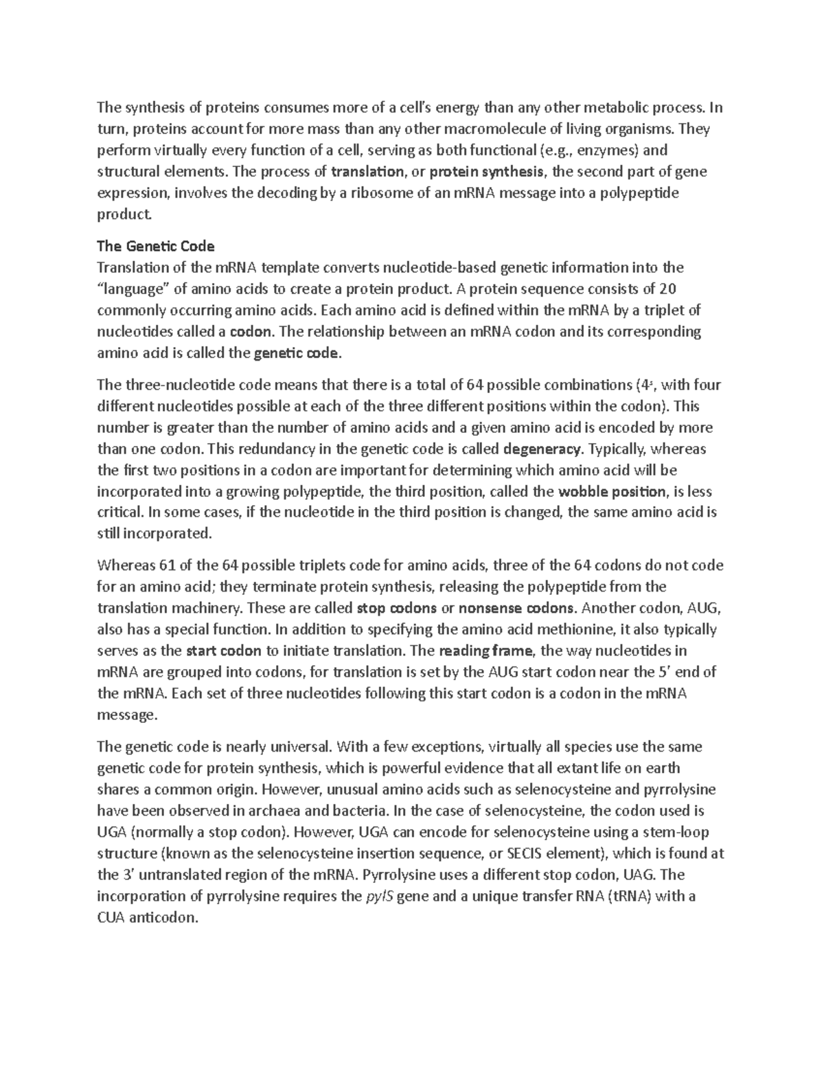Protein Synthesis (Translation) - 17976 - BCU - Studocu