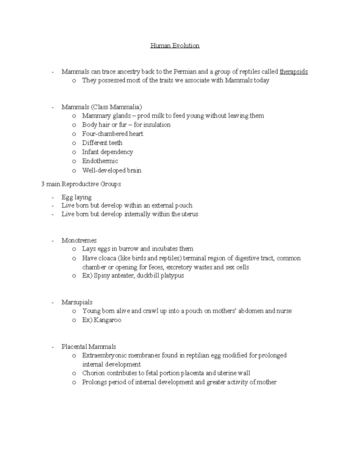 Human Evolution - Human Evolution Mammals can trace ancestry back to ...