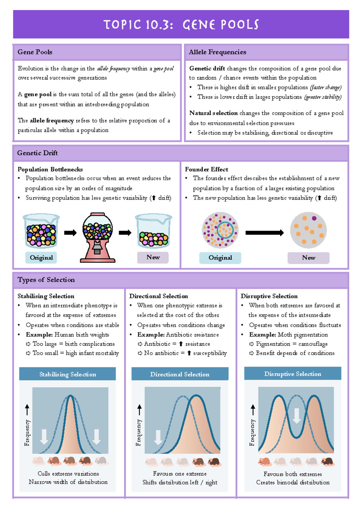 10.3 Gene Pools - bio!!! - Types of Selection Stabilising Selection ...