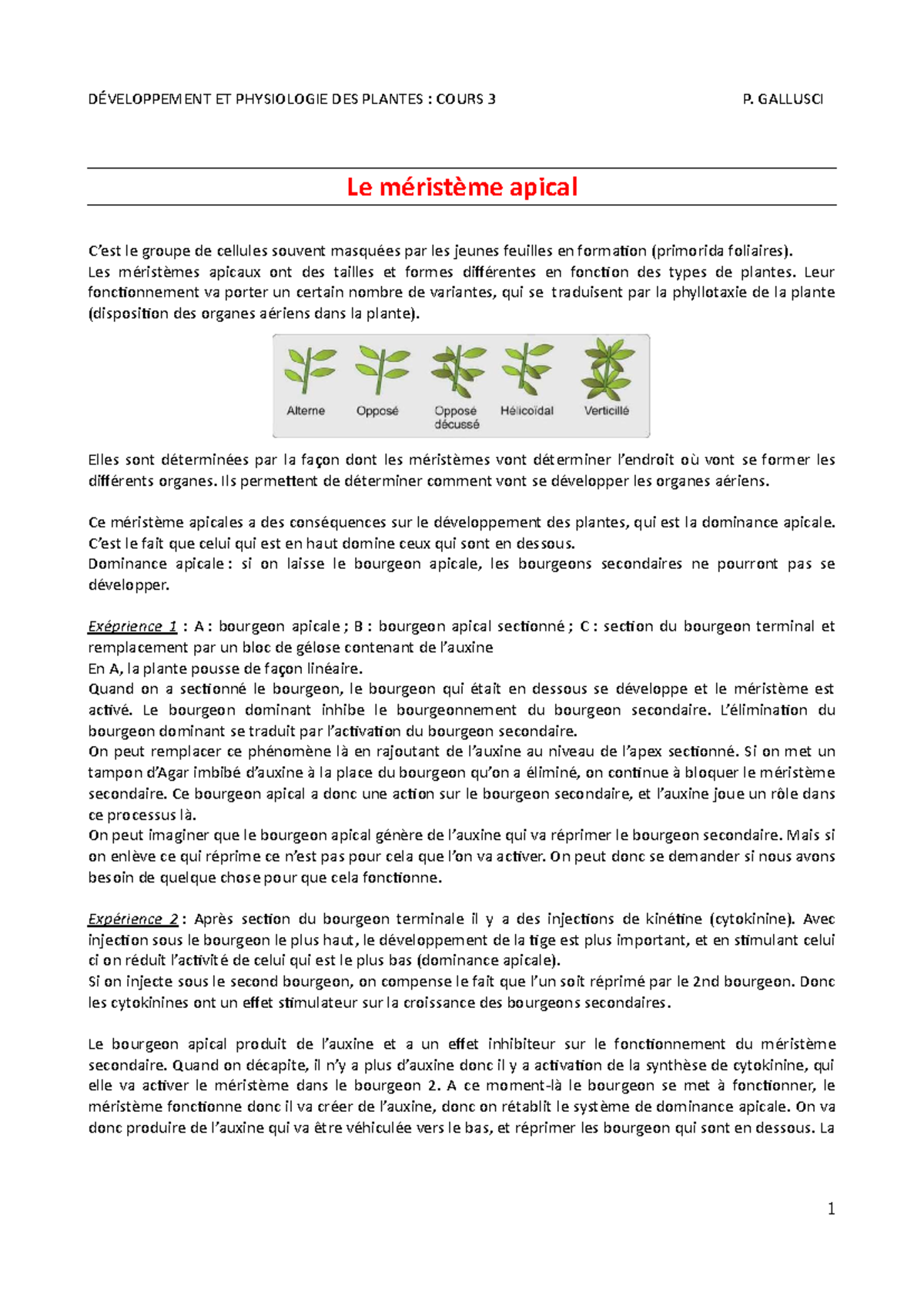 Cours 3 (terminé ) - Le méristème apical C’est le groupe de cellules ...