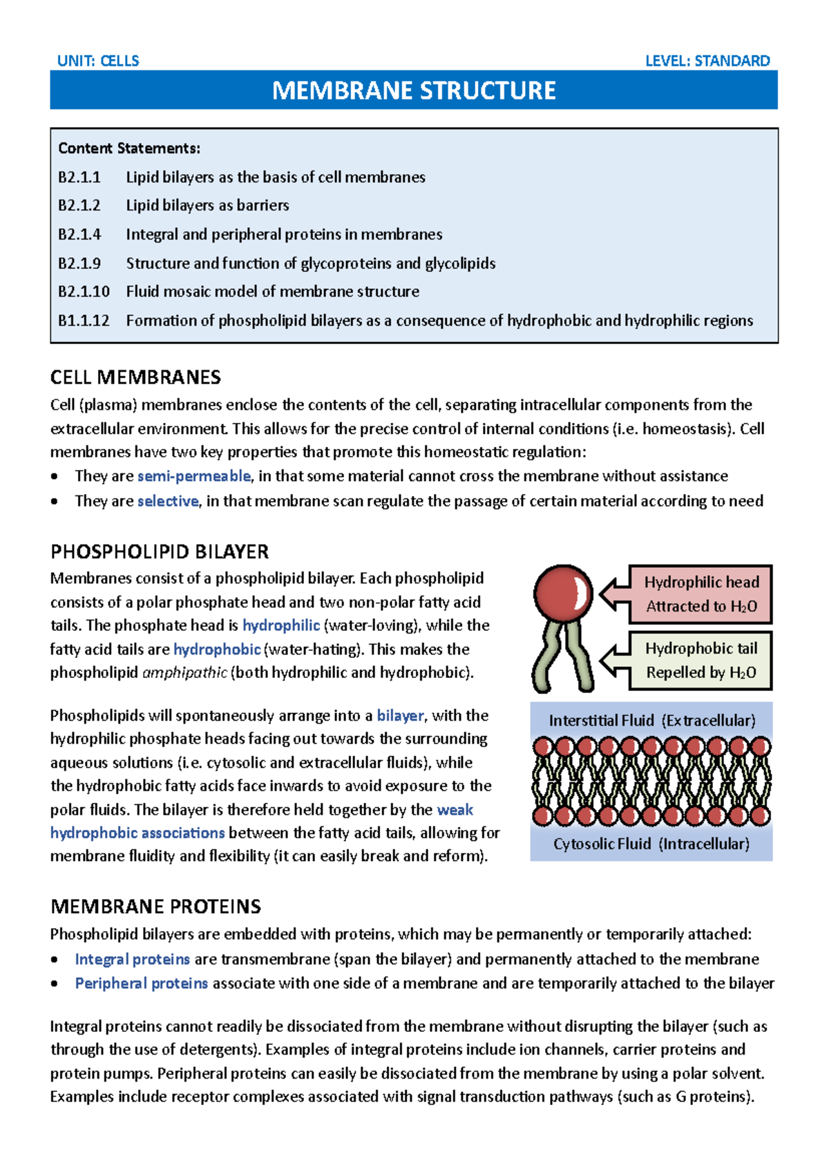 2.4 Membrane Structure - UNIT: CELLS LEVEL: STANDARD MEMBRANE STRUCTURE ...