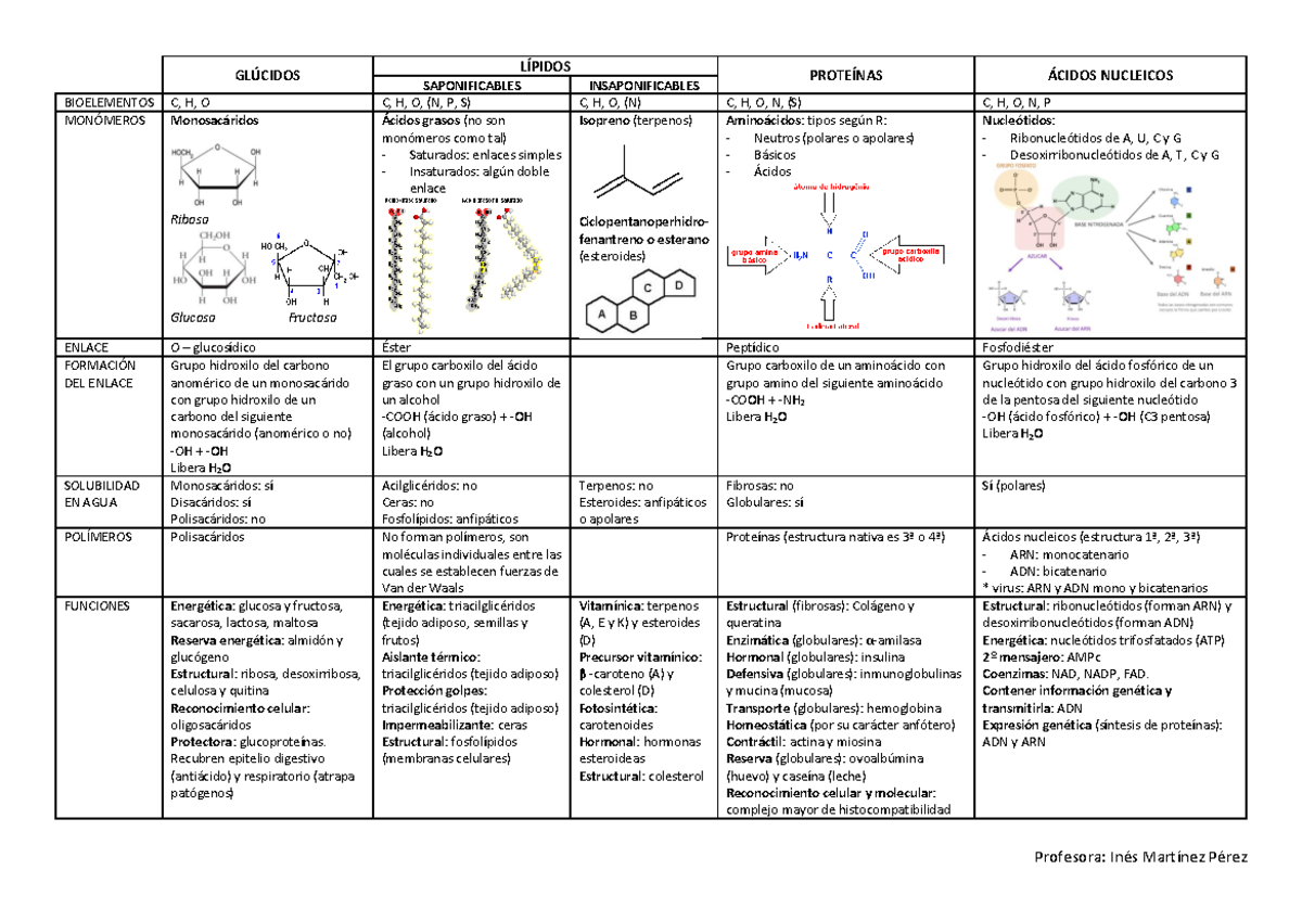 Cuadro bloque 1 - Profesora: InÈs MartÌnez PÈrez GL⁄CIDOS LÕPIDOS PROTEÕNAS ¡CIDOS NUCLEICOS ...