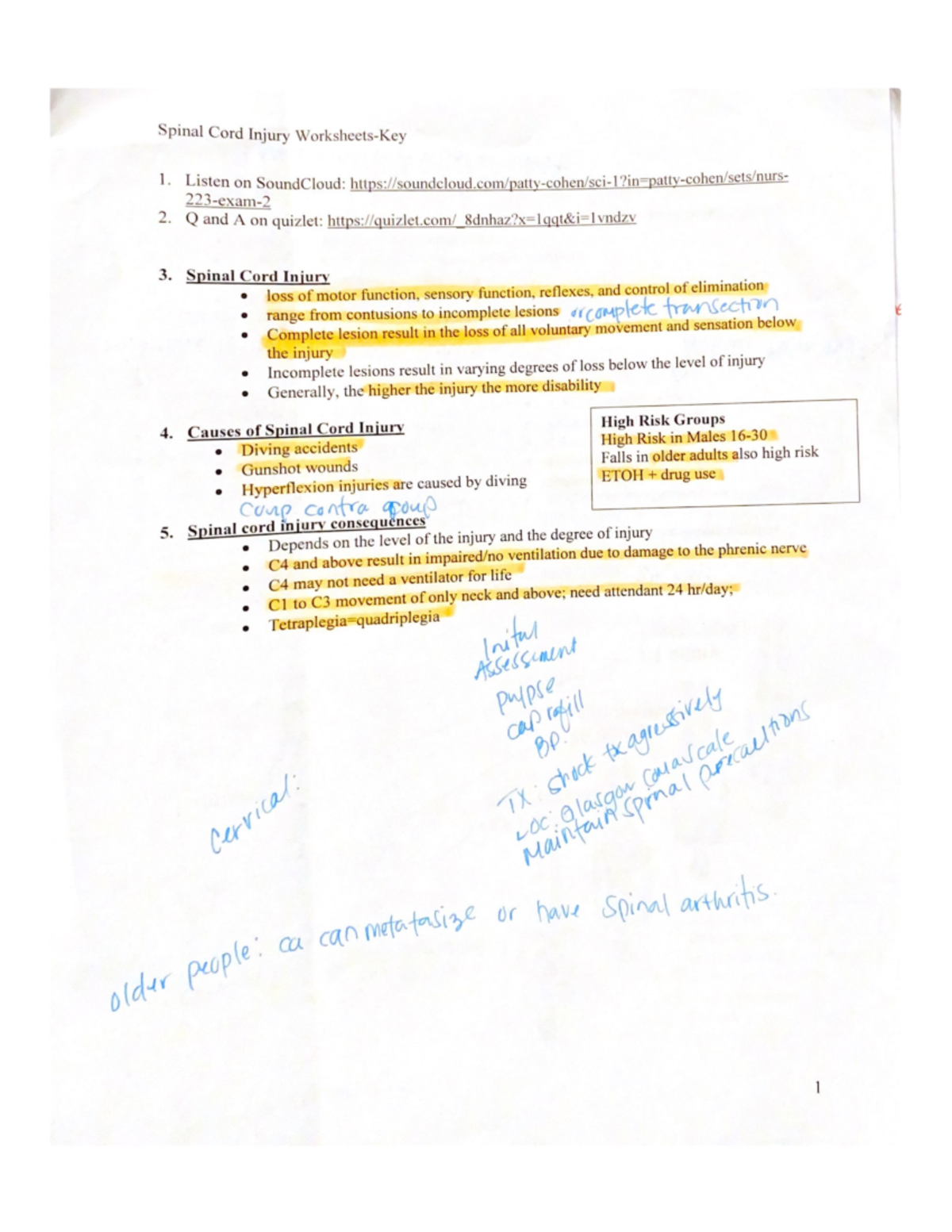 Spinal Cord Injury Nursing Worksheets MS II NUR 223 - NURS223 - BSC ...