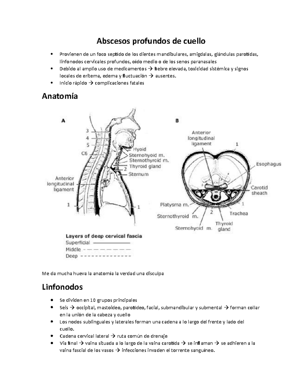 Abscesos profundos de cuello - Inicio rápido complicaciones fatales ...