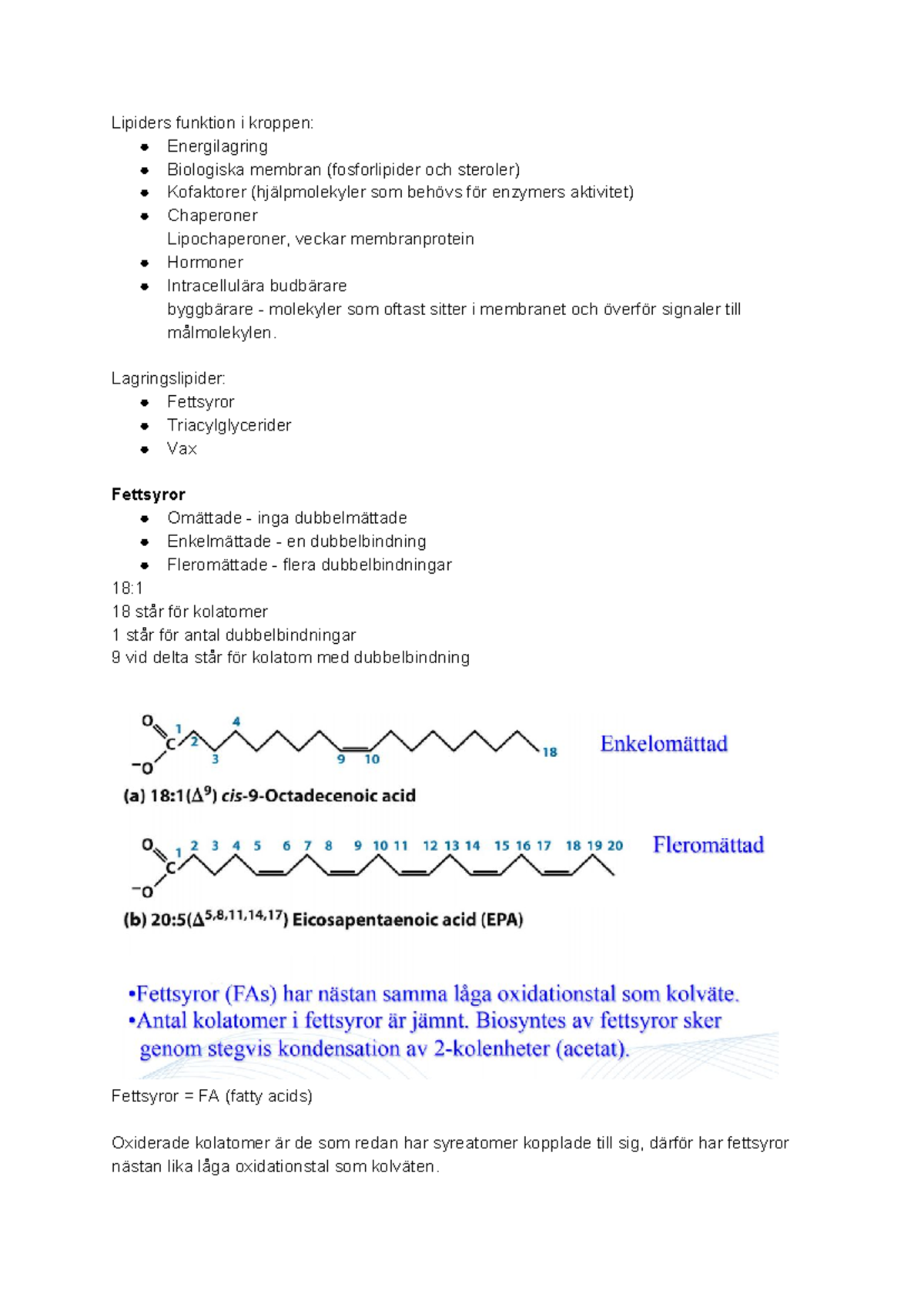 Lipider: funktion och uppbyggnad - Lipiders funktion i kroppen ...