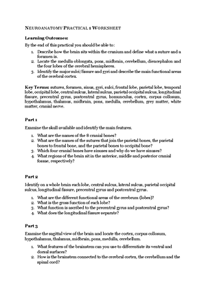 Pratical 1 Worksheet 2023 - NEUROANATOMY PRACTICAL 1 WORKSHEET Learning ...