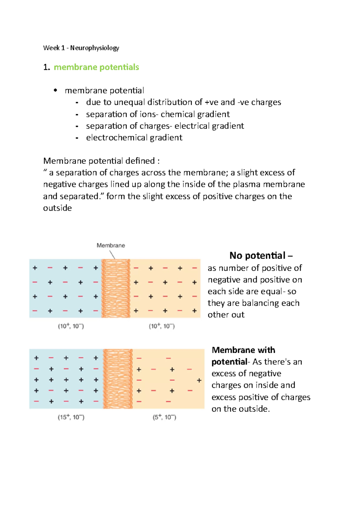 Week 1 - Neurophysiology - Week 1 - Neurophysiology membrane potentials ...