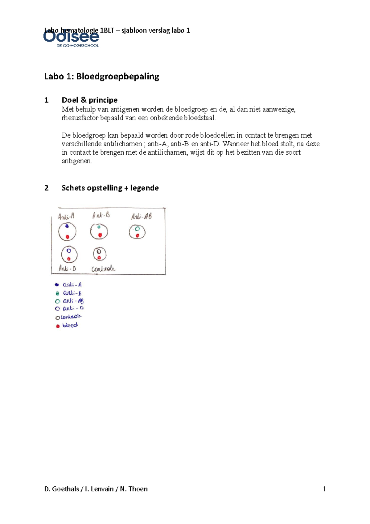 Bloedbepaling hematologie - Labo hematologie 1BLT – sjabloon verslag ...