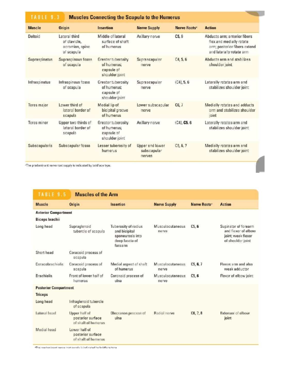 -Upper-Extremity- Miona - Medical - Studocu