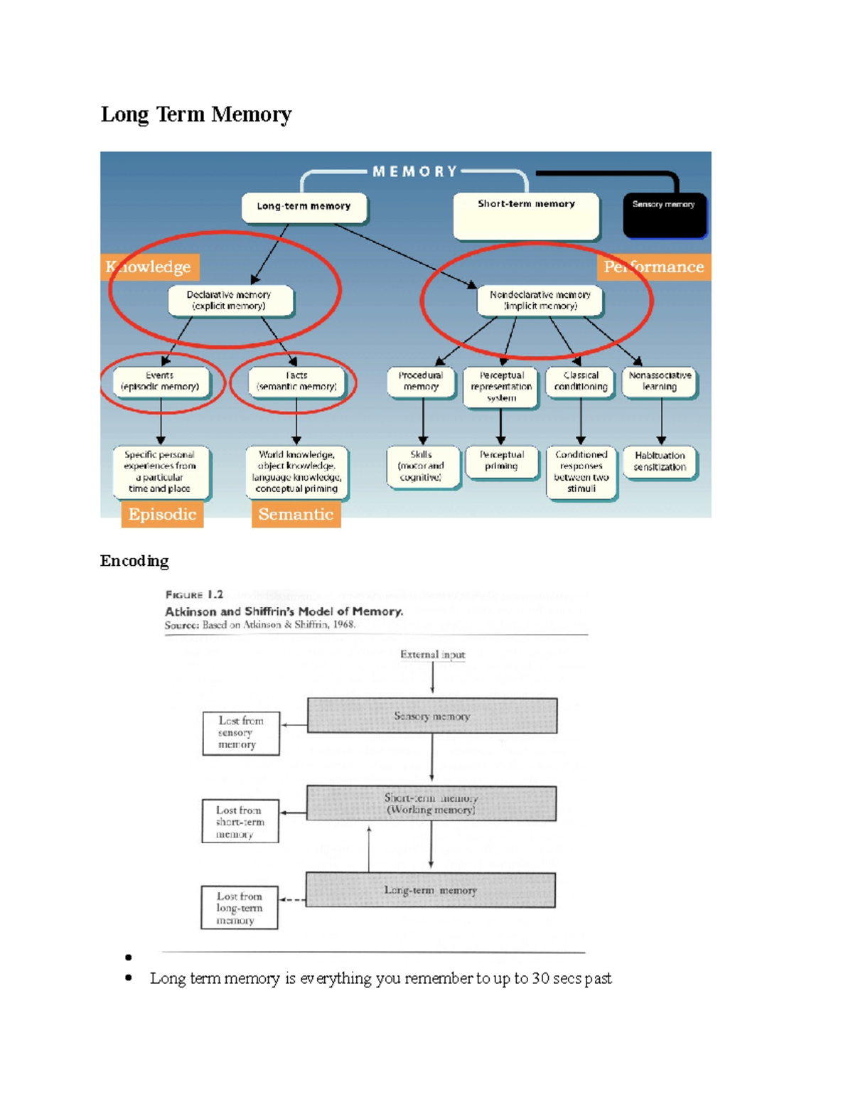Review - Lecture notes 5-10 - Long Term Memory Encoding Long term ...