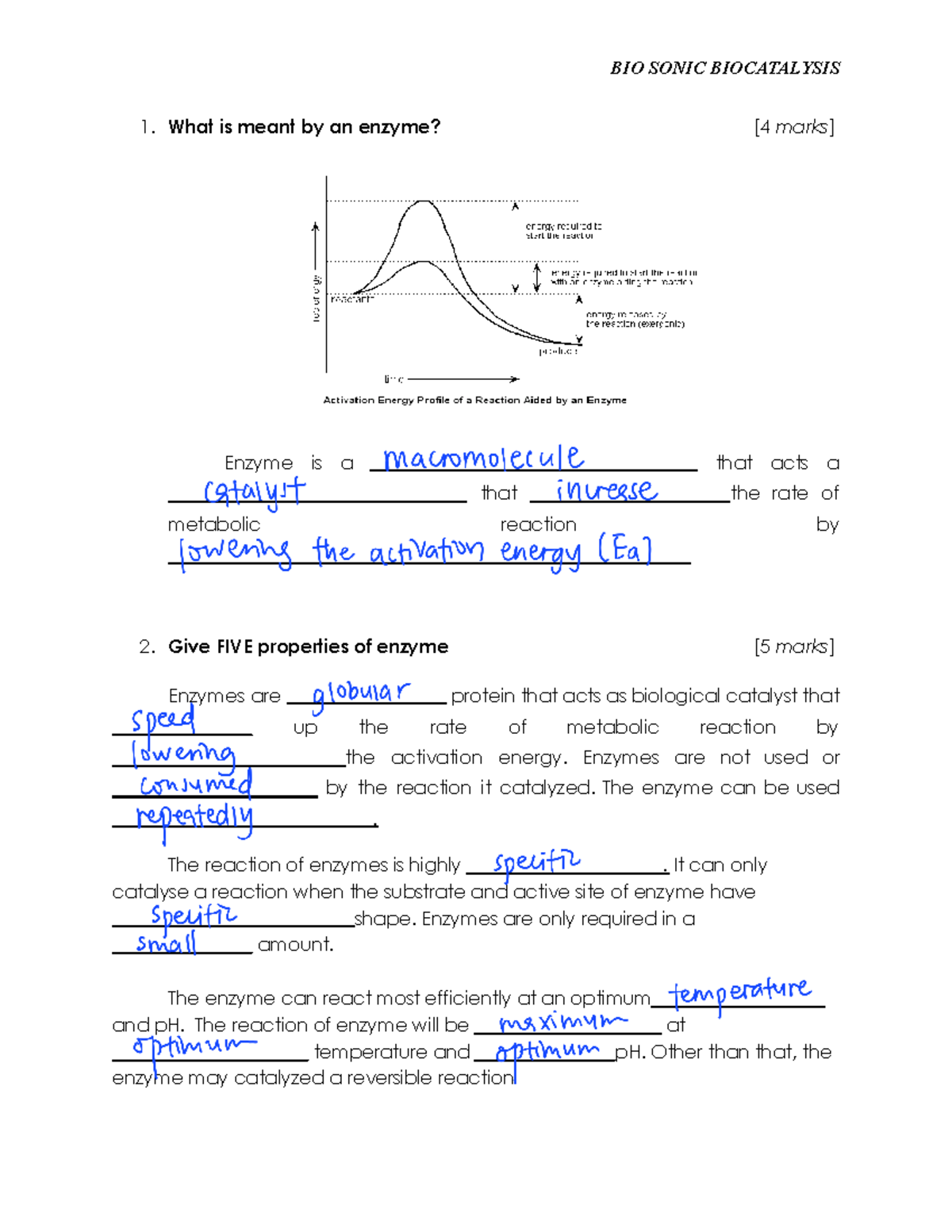 Bio cat - Practice material - What is meant by an enzyme? [4 marks ...