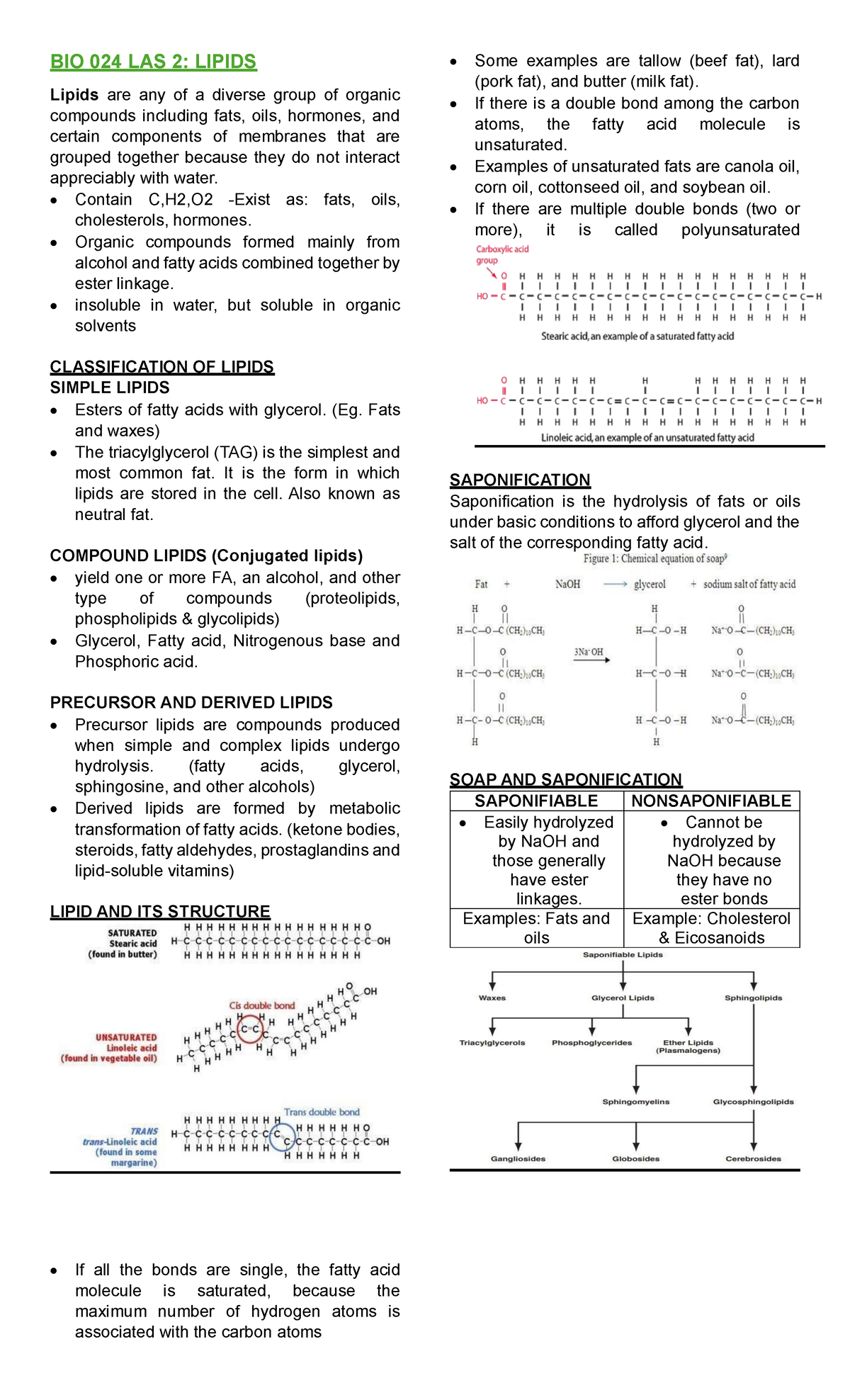 BIO 024 LAS 1 & 2 Notes Lipids - BIO 024 LAS 2: LIPIDS Lipids are any ...