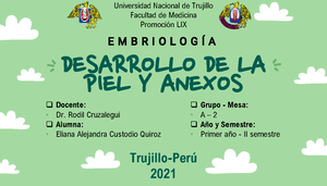 Desarrollo DEL SACO Coriónico - DESARROLLO DEL SACO CORIÓNICO El final ...