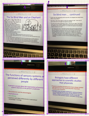 Sensory NSC, 1 - Dr. Aage Moller - What is ''the Six Blind Men ...