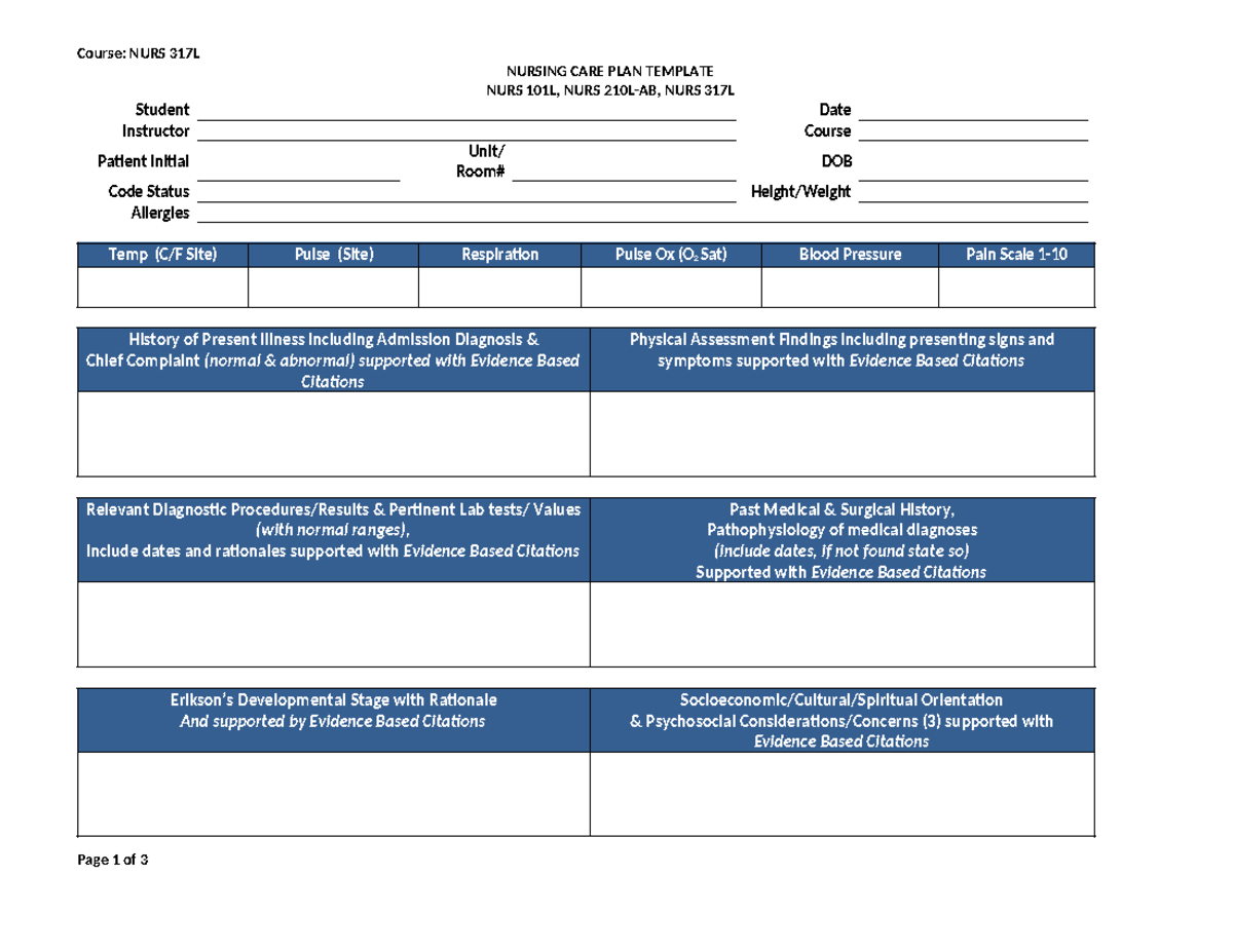 CJP:Nursing Care Plan Template - Course: NURS 317L NURSING CARE PLAN ...