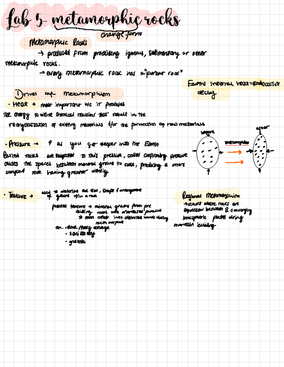 Lab 4 Met Rocks - Lab 5- metamorphic rocks en change form Metamorphic ...