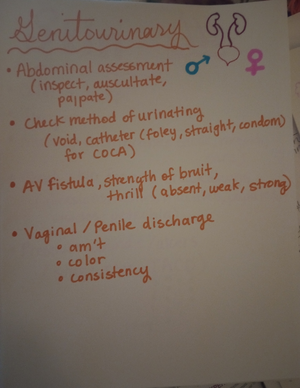 GI FOCUSED ASSESSMENT - NS 101L - Studocu