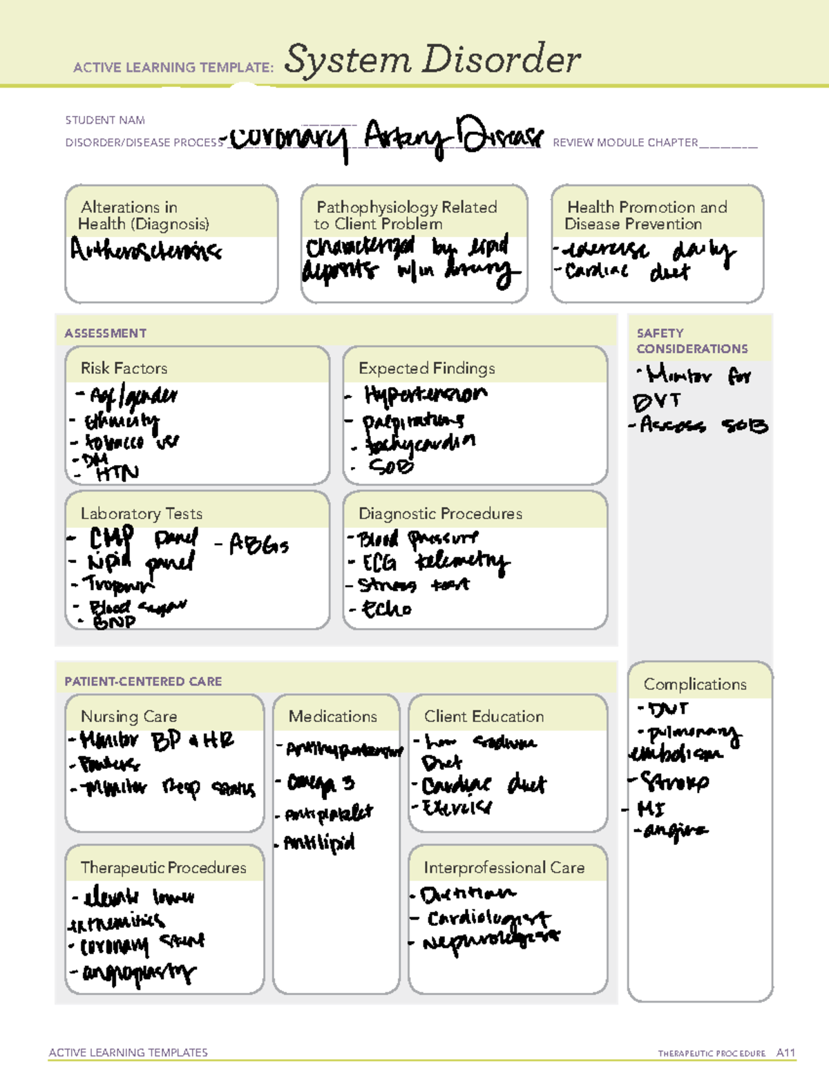 Mini care plan[ 2224] - coronary artery - ACTIVE LEARNING TEMPLATES ...
