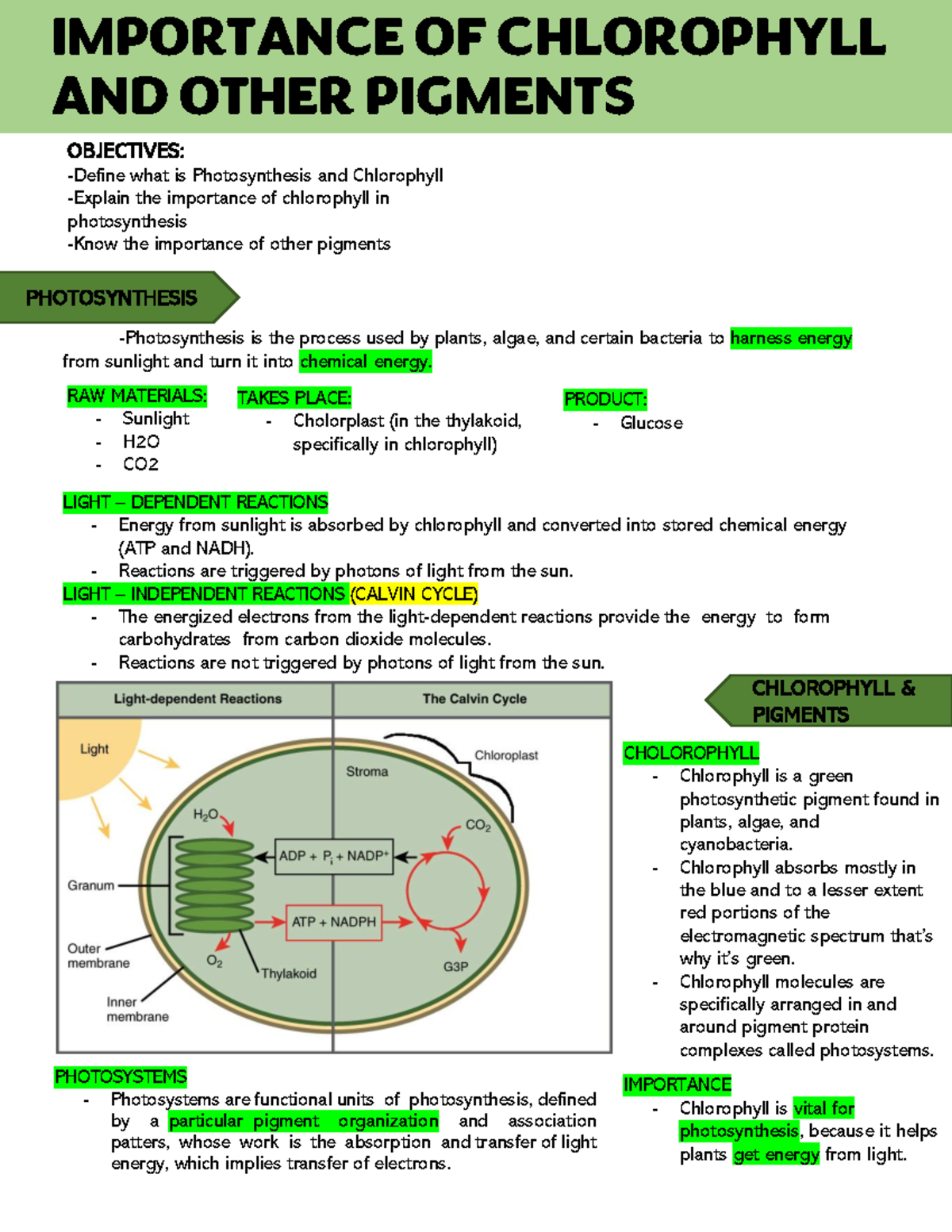 Bio-hand-out - Actually Bio yan grd 11. Importance of chlorophyll and ...