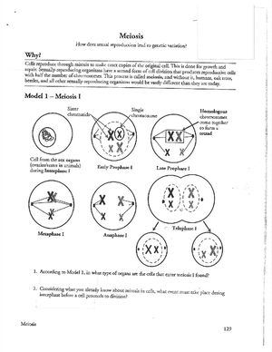 Genetics Problems Part2(1) - Genetics Problem Set: Part 2 The following ...
