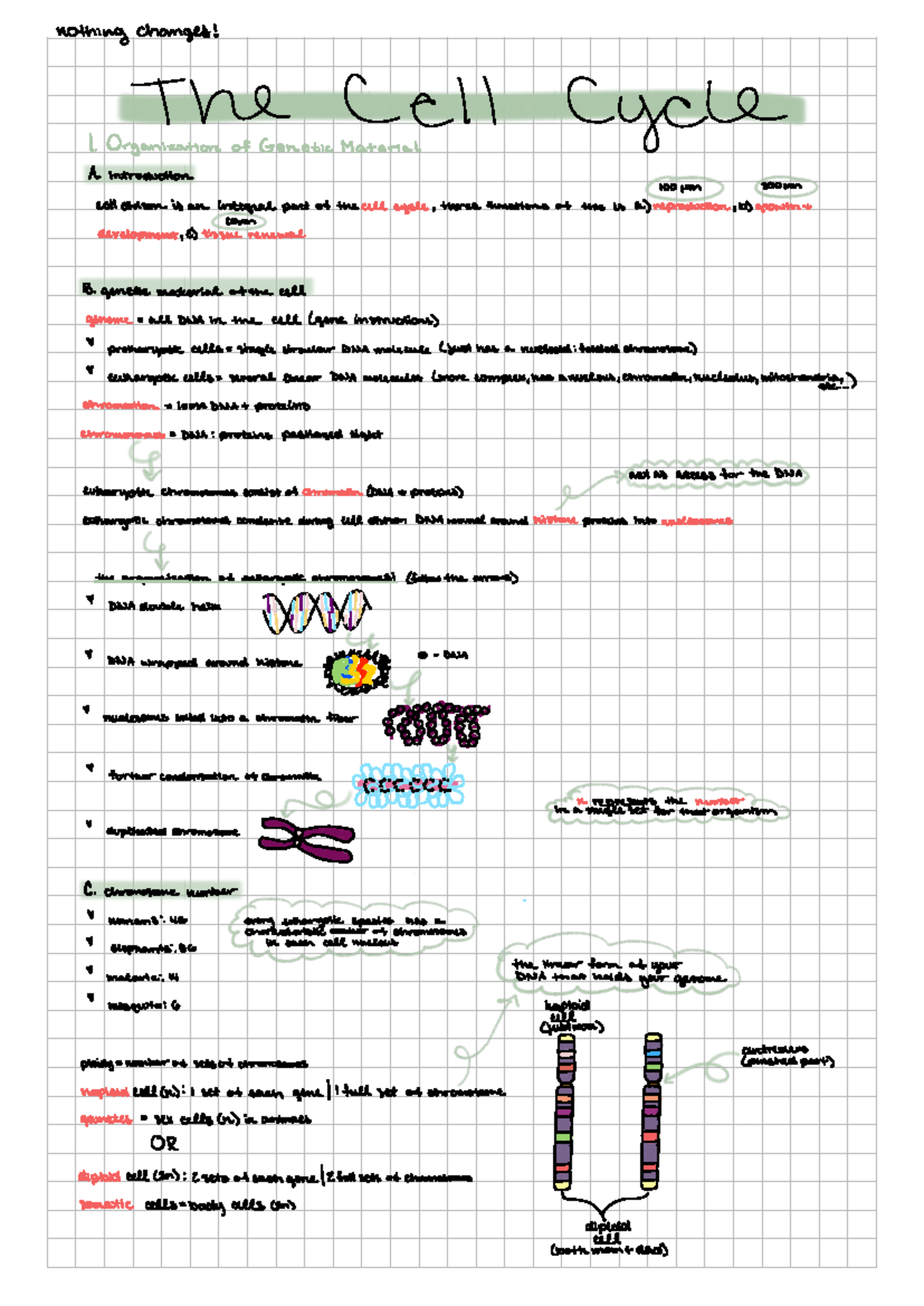 10 - the cell cycle - stern lecture notes for spring 2023 semester ...