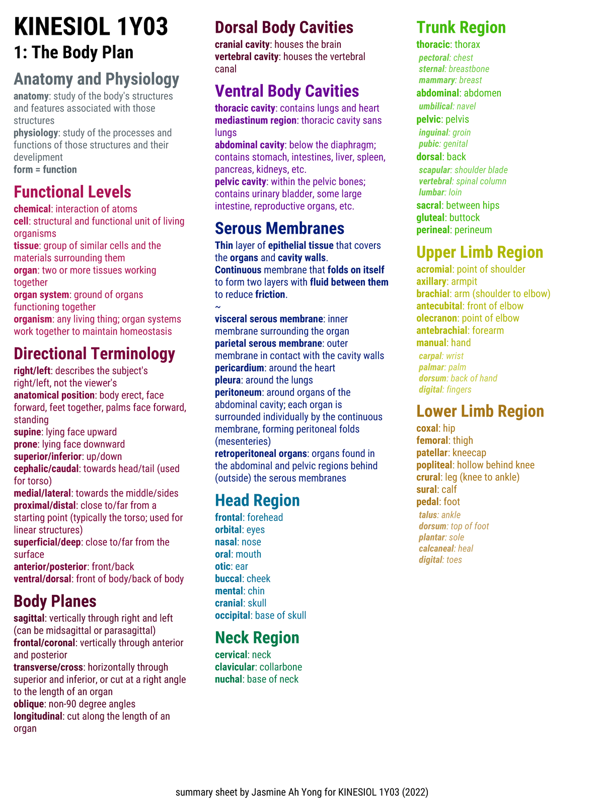 kinesiology summary review 1, 2024 - 1: The Body Plan KINESIOL 1Y ...