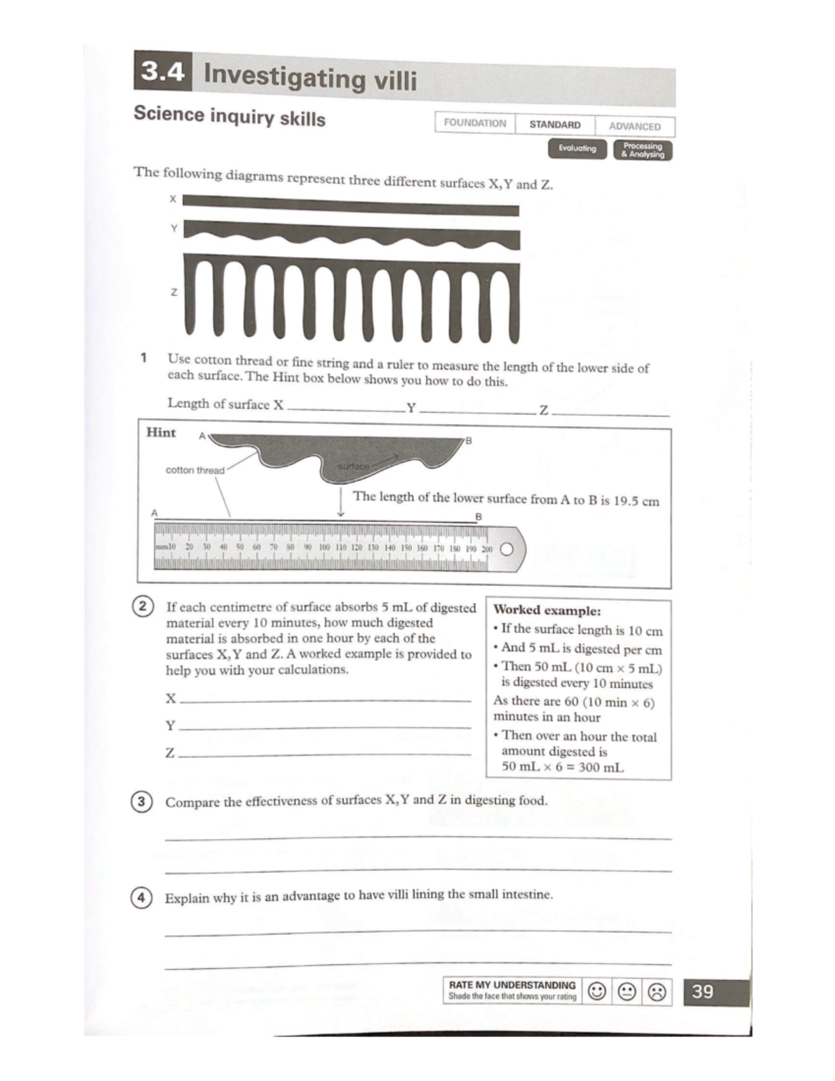 3.4 Investigating villi activity for quick revision - Studocu