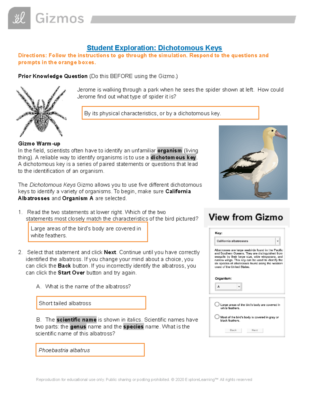 Dichotomous Key activity - Gizmo - Student Exploration: Dichotomous ...