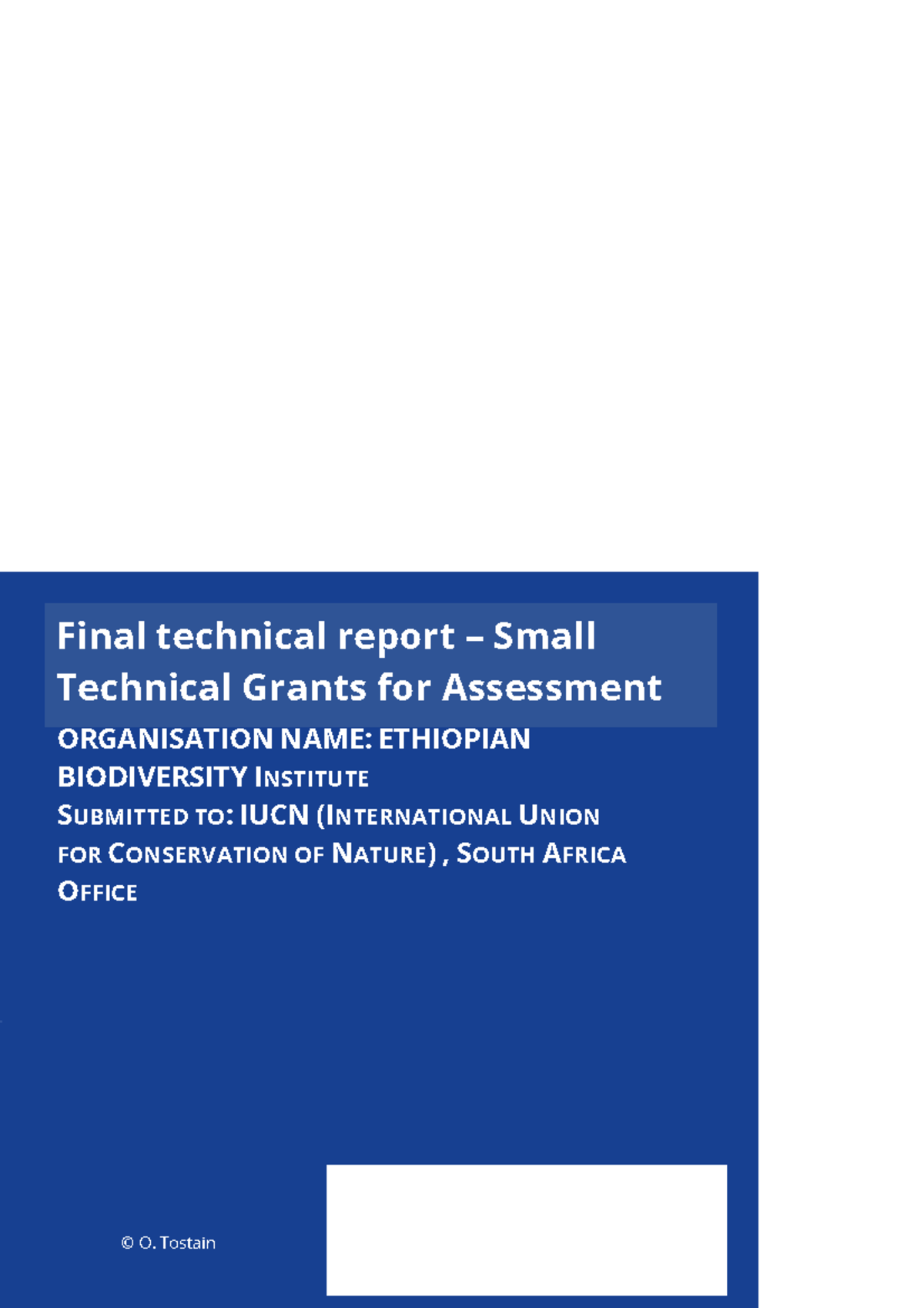 Final technical report - Tostain Final technical report – Small Technical Grants for Assessment ...