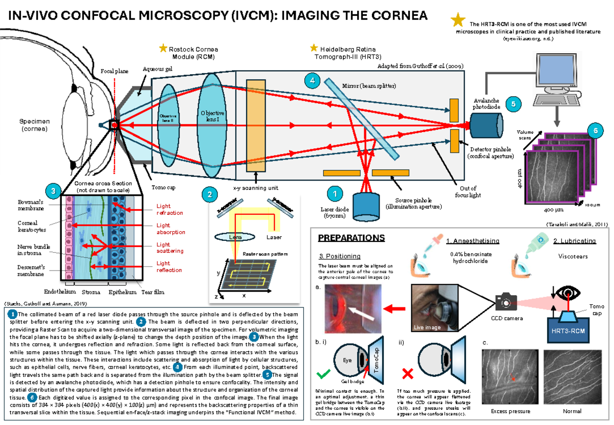 Tissue Pathology Coursework 2024 - Detector pinhole (confocal aperture ...