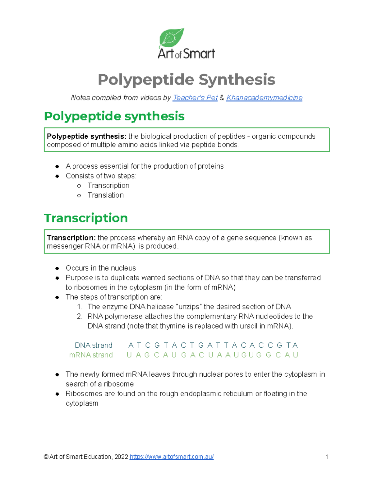 HSC Together Polypeptide Synthesis - Polypeptide Synthesis Notes ...