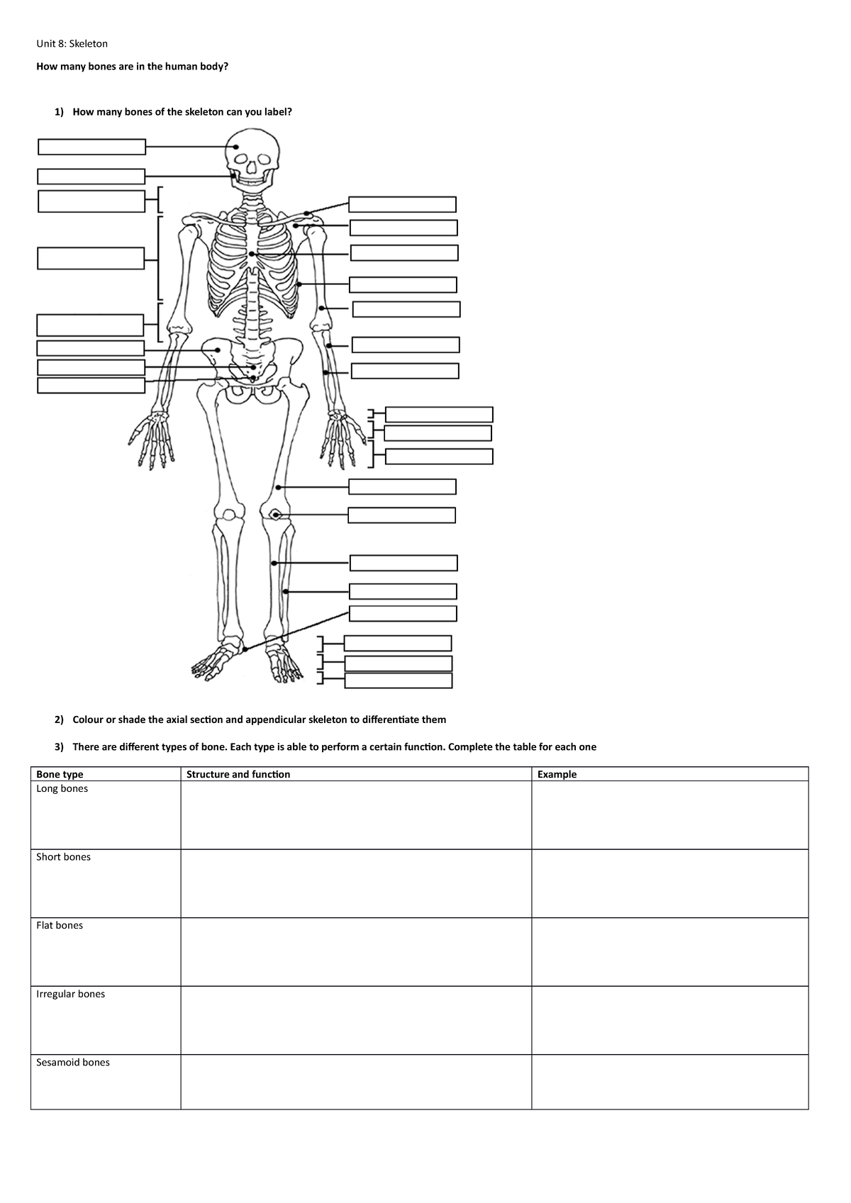 L1 Skeleton worksheet - Unit 8: Skeleton How many bones are in the ...