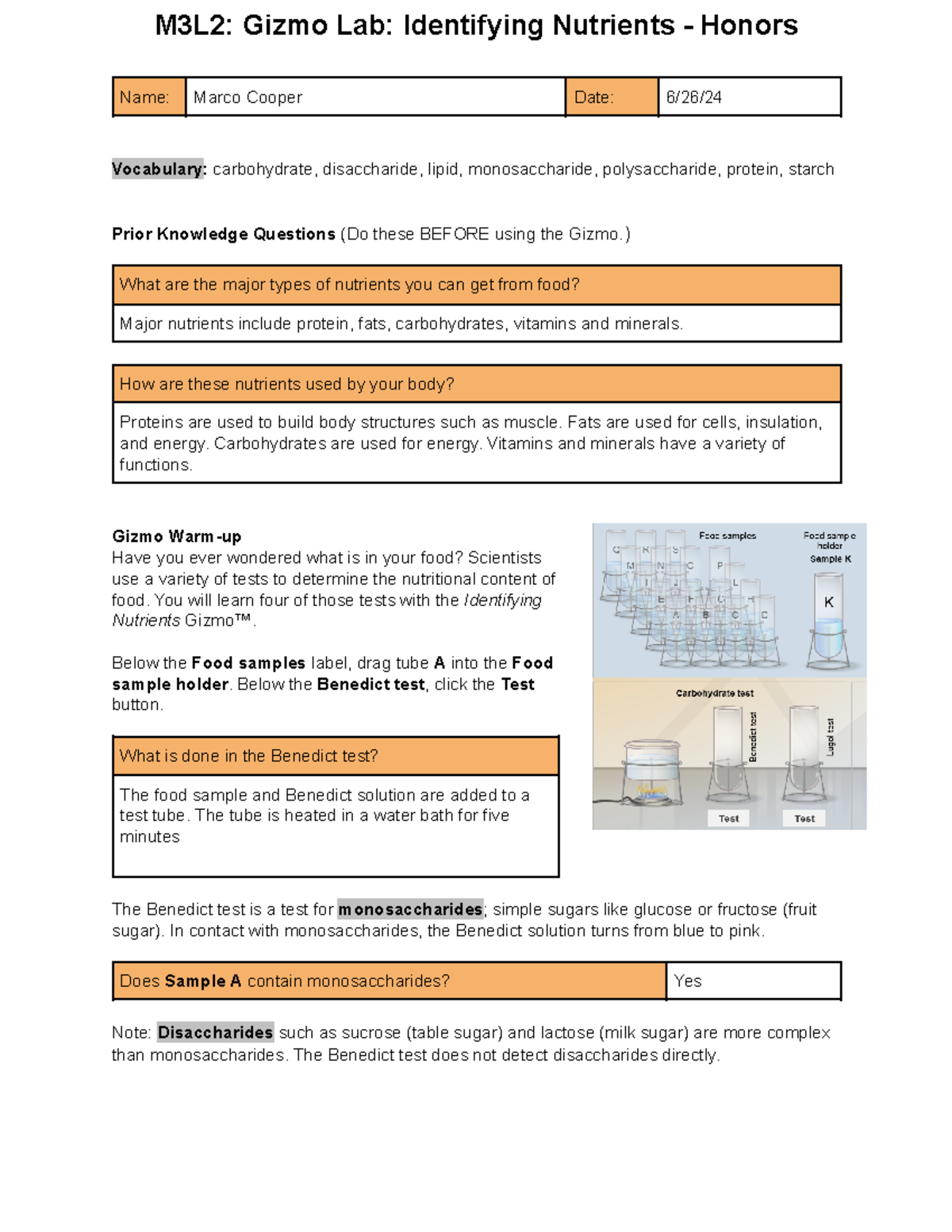Copy of M3L2 Identifying Nutrients - Honors - M3L2: Gizmo Lab ...