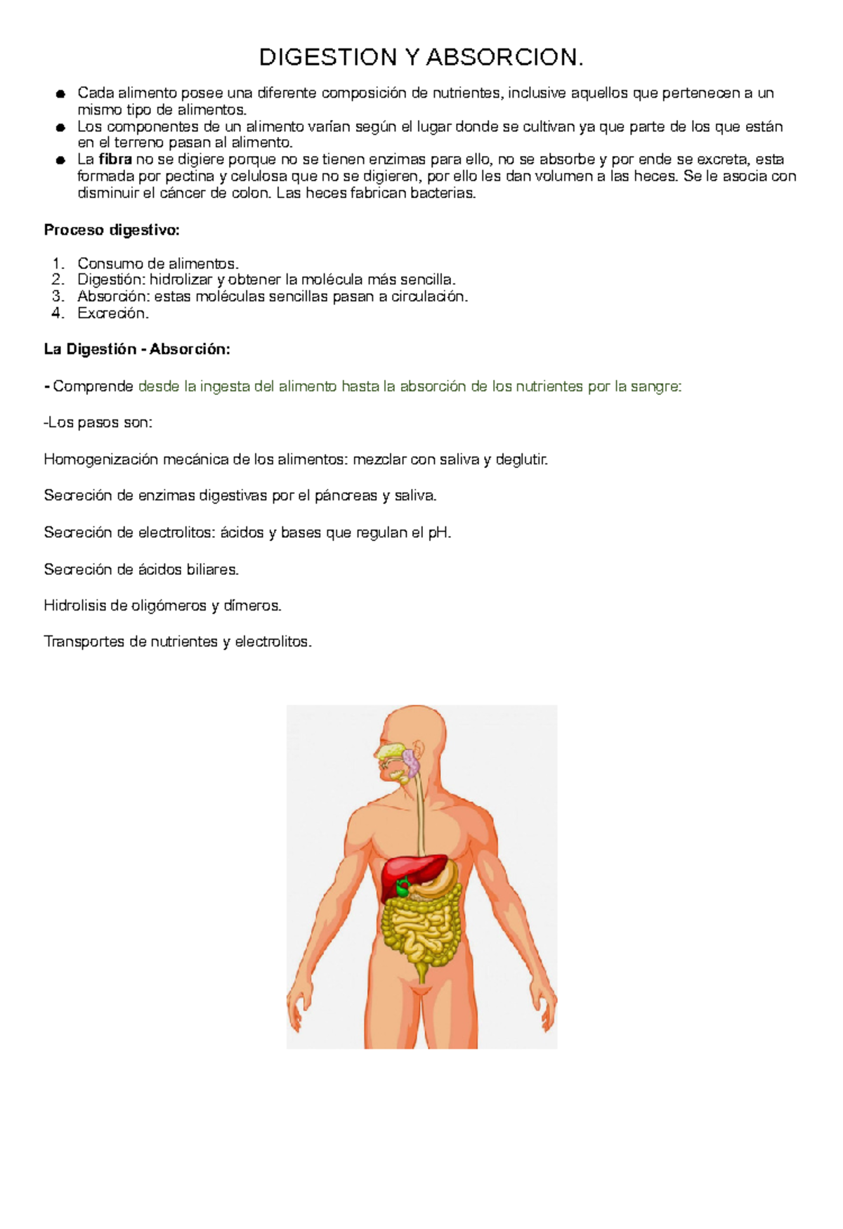 Digestion Y Absorcion Fisio - DIGESTION Y ABSORCION. Proceso digestivo ...