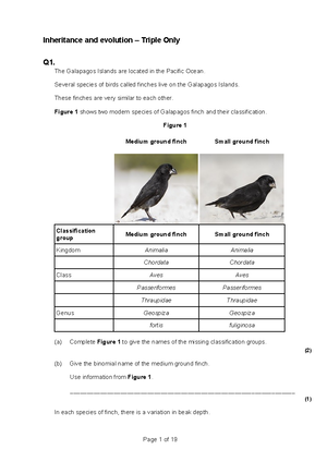 Biology GCSE DLS - TASK 1 Saprobionts are organisms that digest their ...