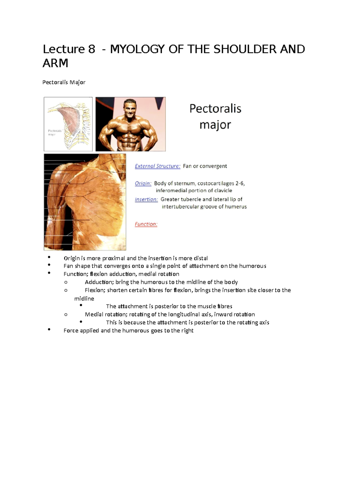 Lecture 8 BIOM2020 - Lecture 8 - MYOLOGY OF THE SHOULDER AND ARM ...