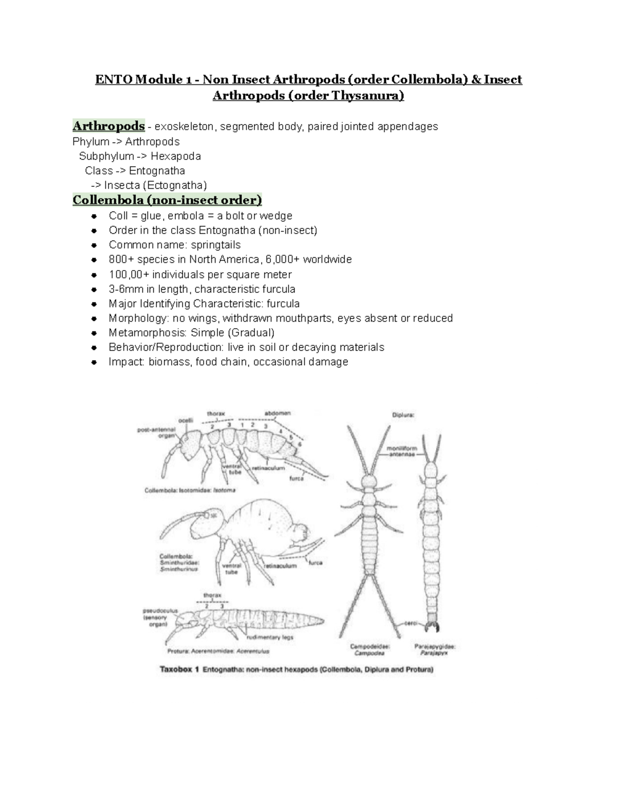 ENTO Module 1 - Orders - ENTO Module 1 - Non Insect Arthropods (order ...