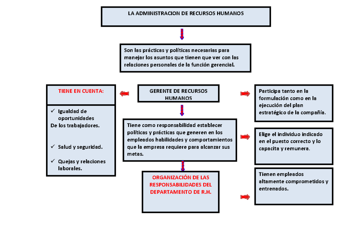 Mapa conceptual - LA ADMINISTRACION DE RECURSOS HUMANOS GERENTE DE RECURSOS HUMANOS Igualdad de ...