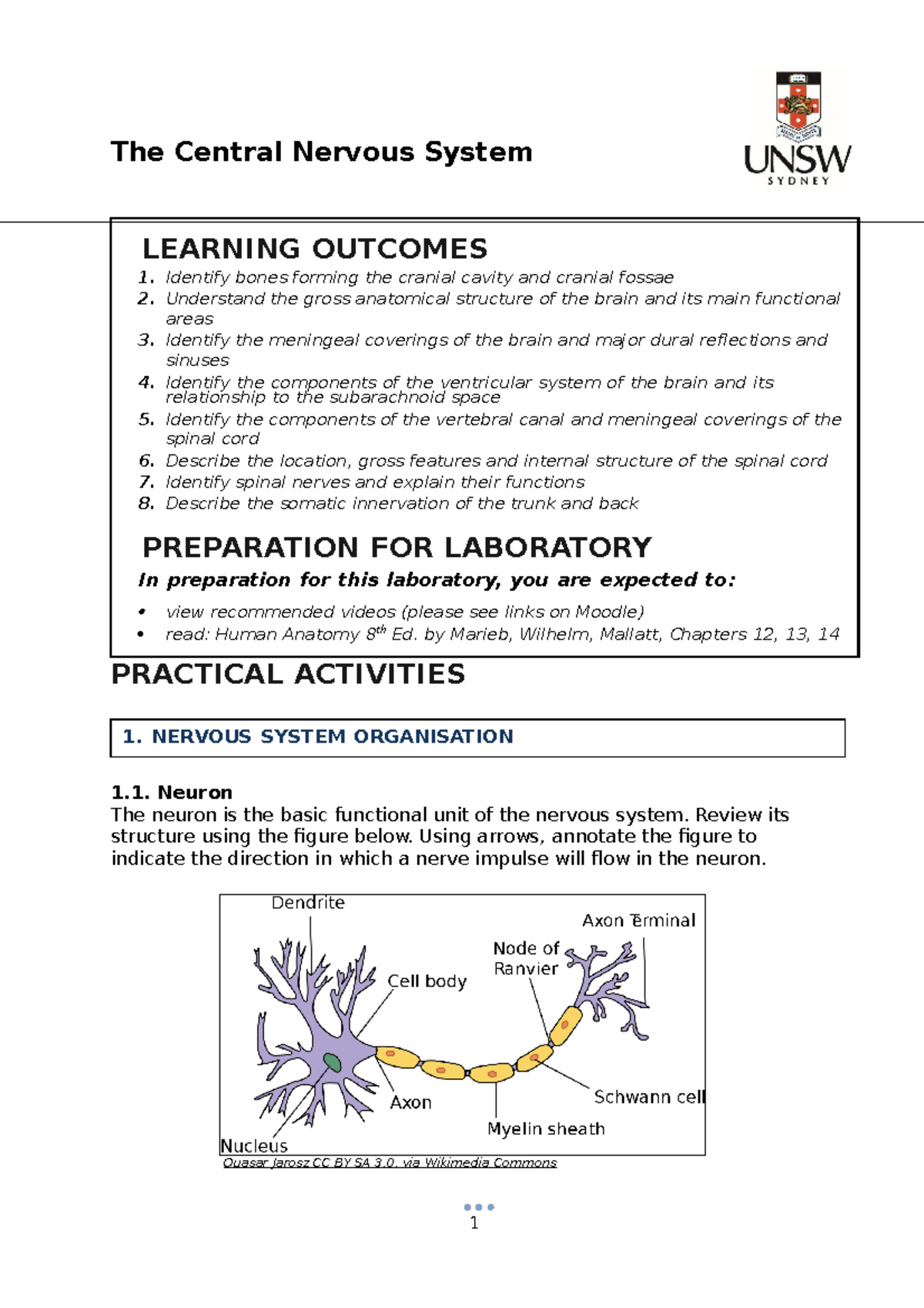 Nervous system I lab manual work - 1 The Central Nervous System PRACTICAL ACTIVITIES 1. Neuron ...