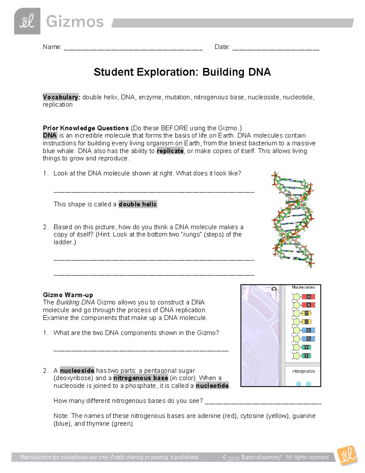 Building DNA Gizmo 3 - 2018 Name ...