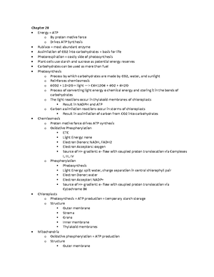 Biochemistry Exam 4 Review Notes - hapter 26 ntose ...