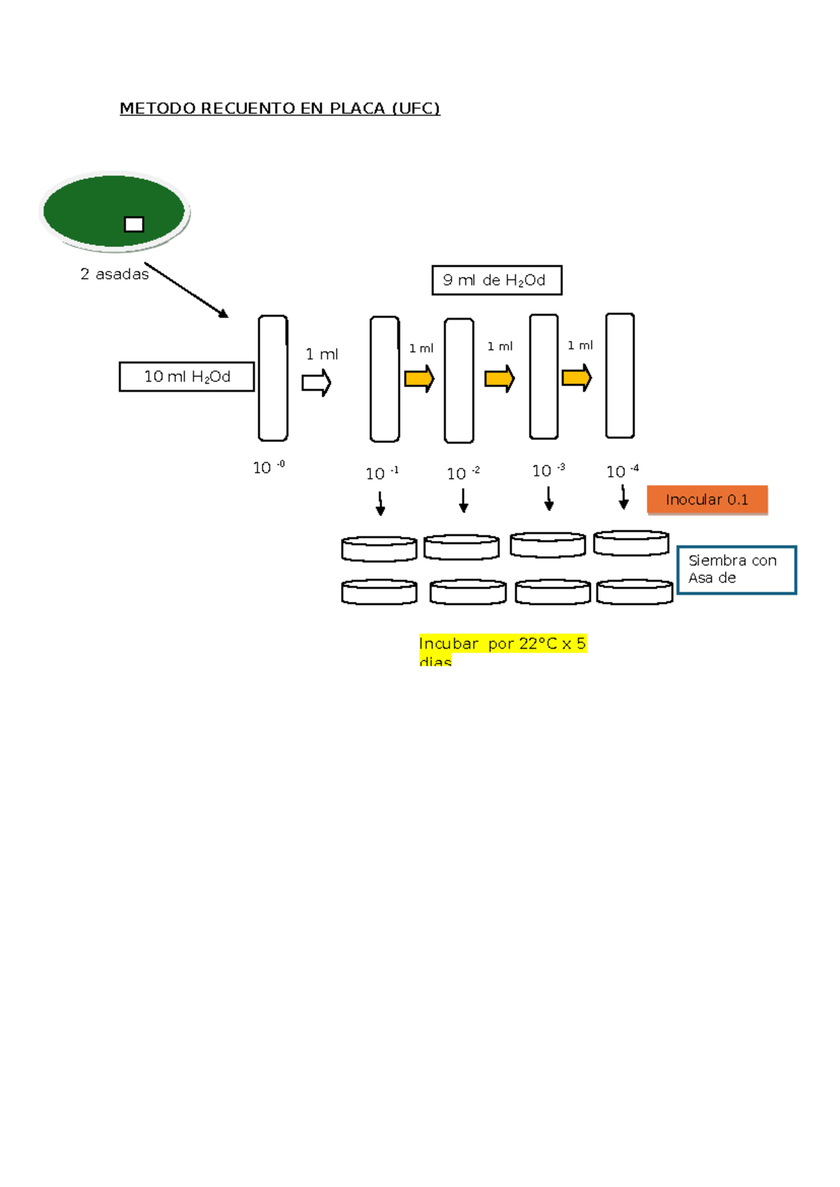 Metodo Recuento EN Placa PARA EL CONTEO DE BACTERIAS Y PREPARARTE PARA ...
