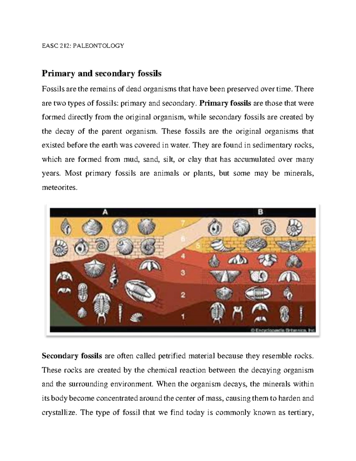Primary and secondary fossils - EASC 212: PALEONTOLOGY Primary and ...